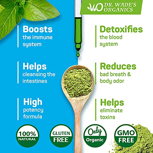chlorophyll ivy for natural energy