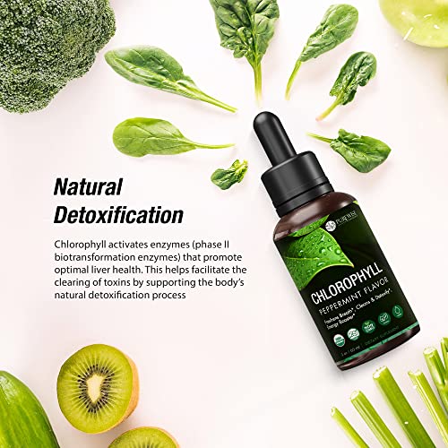 chlorophyll ivy for natural energy