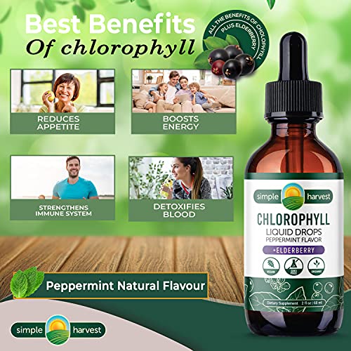 chlorophyll ivy for natural wellness