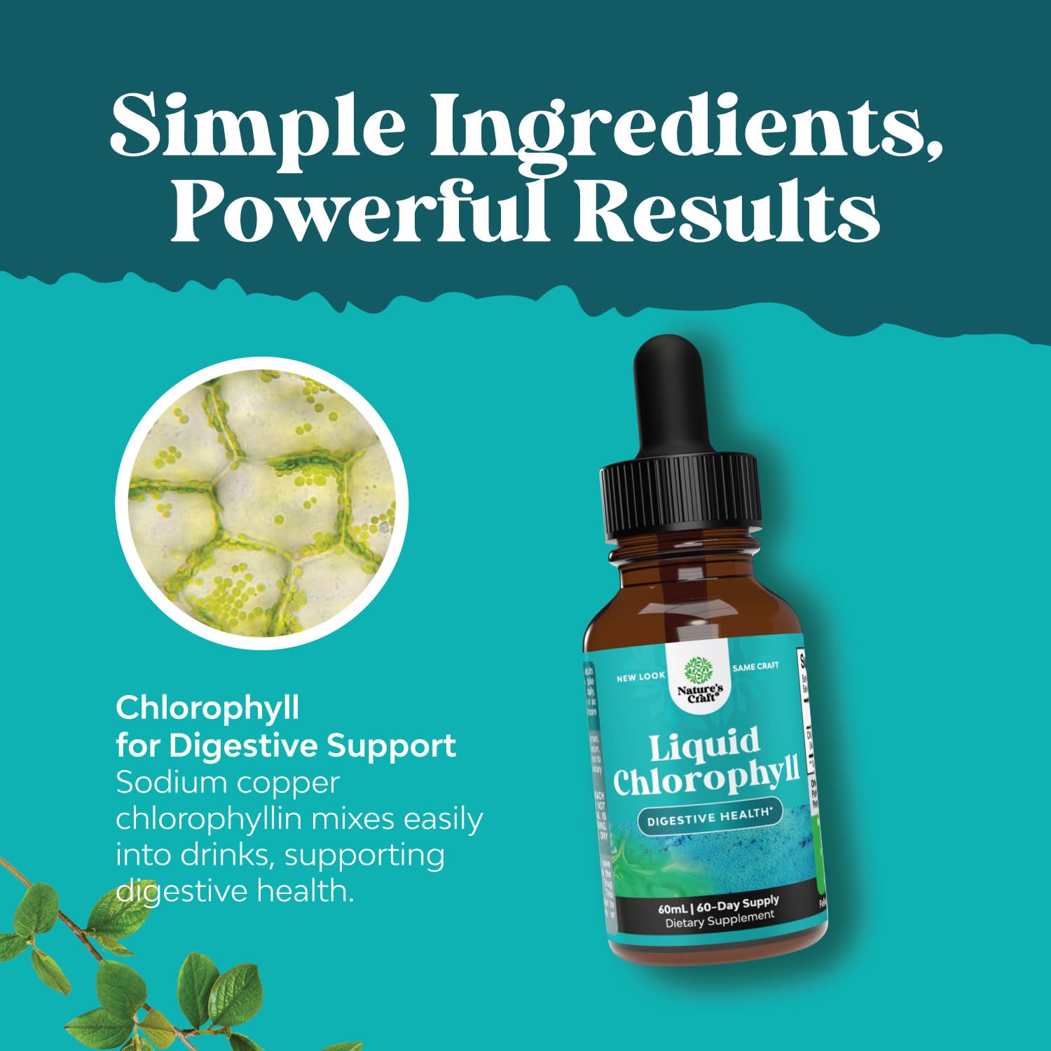 Chlorophyll ivy for vibrant skin