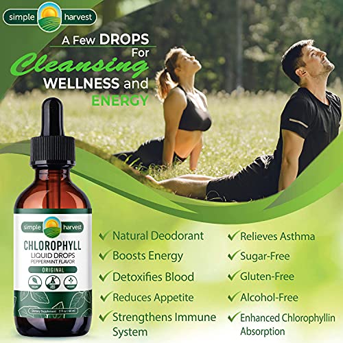 chlorophyll liquid for daily energy