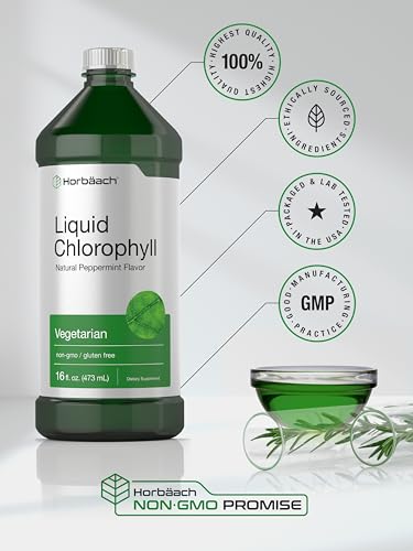 Chlorophyll liquid for daily wellness