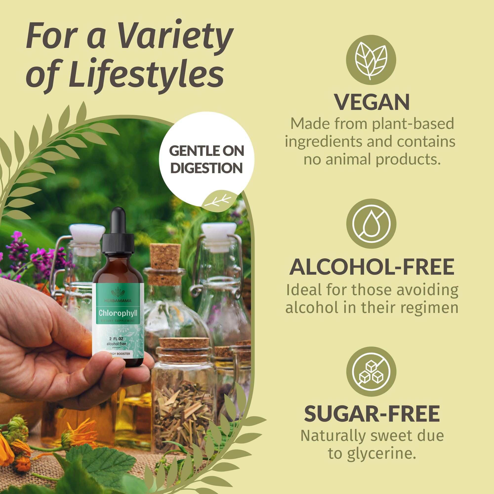 chlorophyll liquid for energy boost