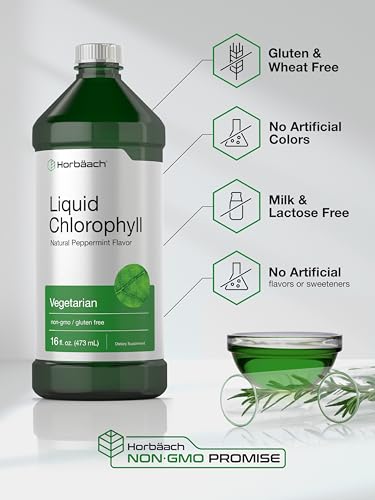 Chlorophyll liquid for improved digestion