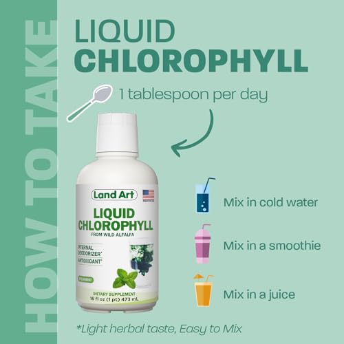 Chlorophyll liquid for refreshing mint taste