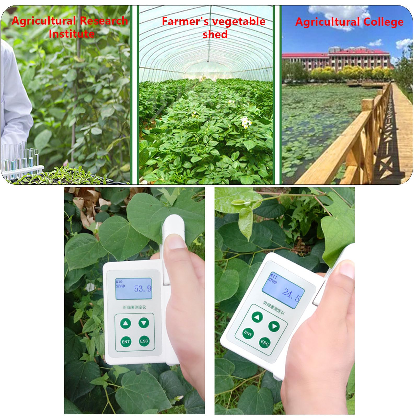 chlorophyll meter for professional growers