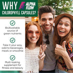 Chlorophyll multivitamin for seniors vitality