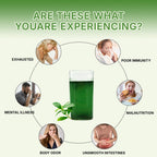 chlorophyll powder for daily hydration
