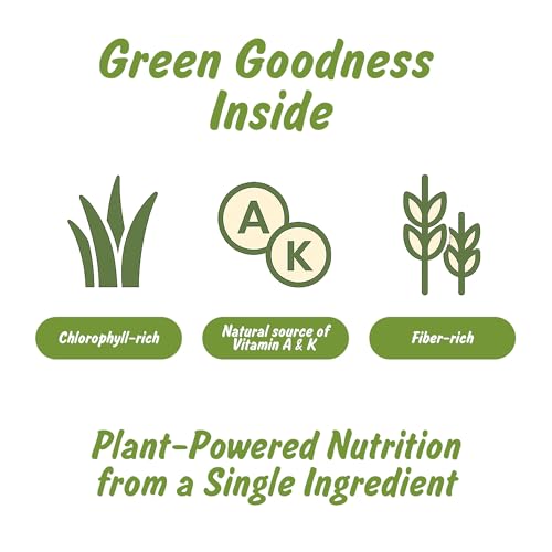 chlorophyll powder for daily nutrition
