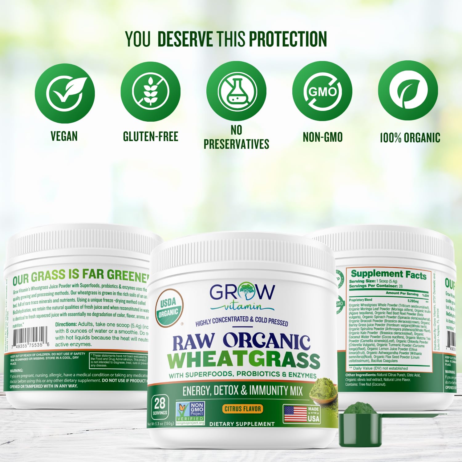 chlorophyll powder for daily nutrition
