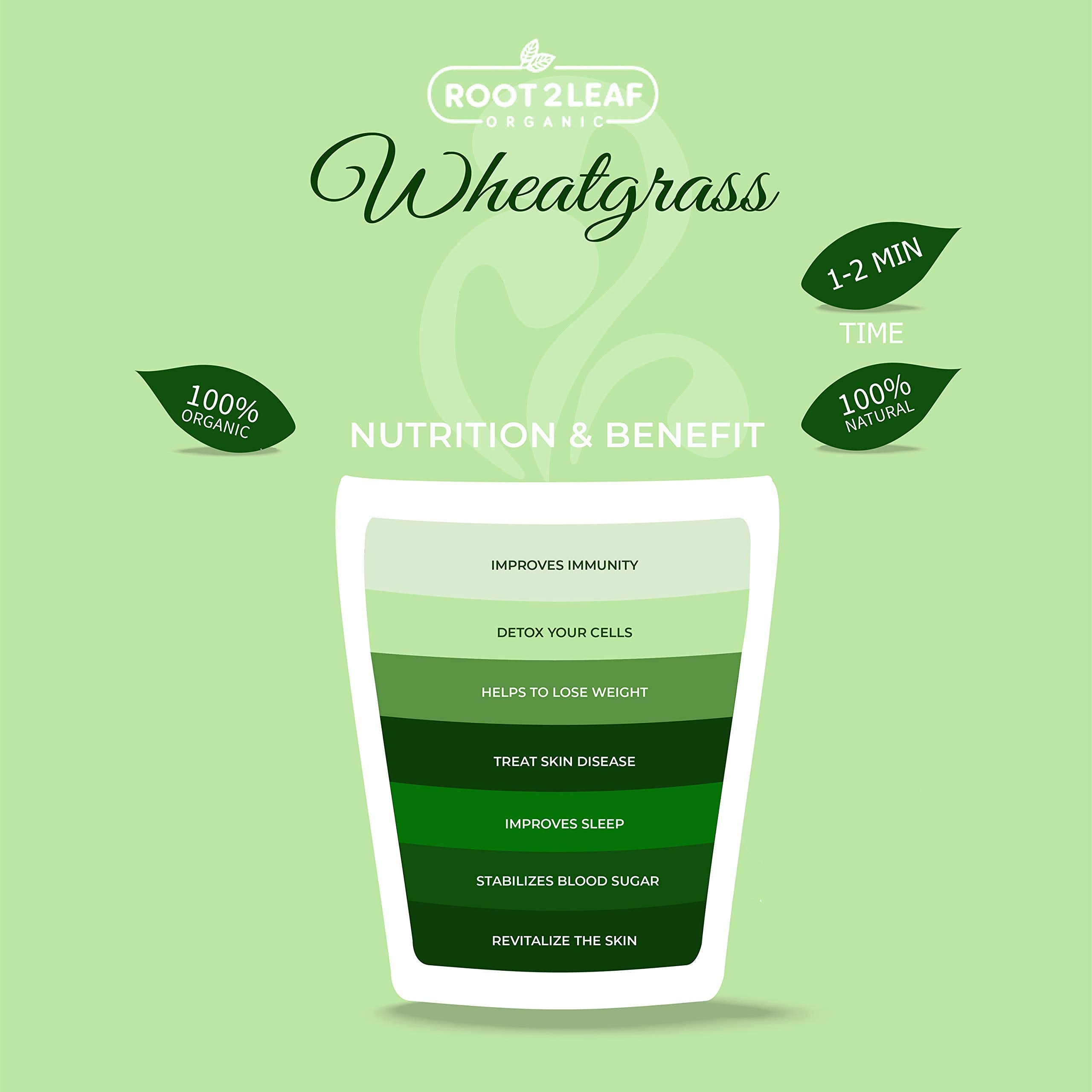 chlorophyll powder for detoxification