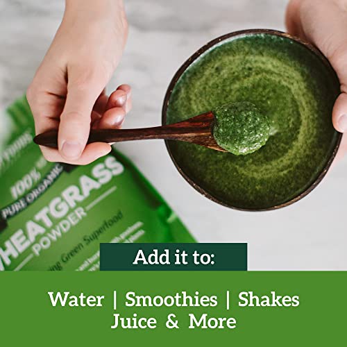 chlorophyll powder for energy boost