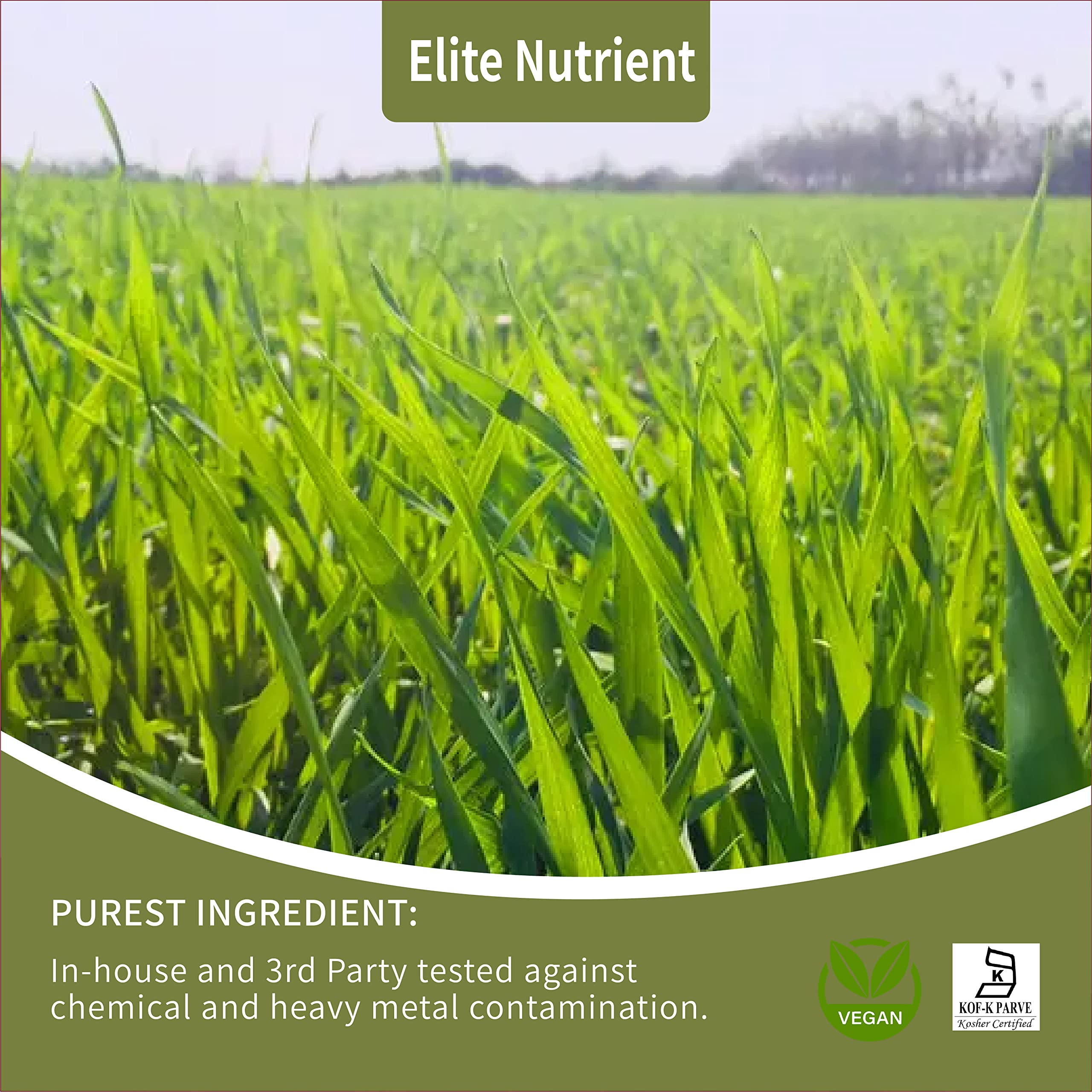 chlorophyll powder for energy boost