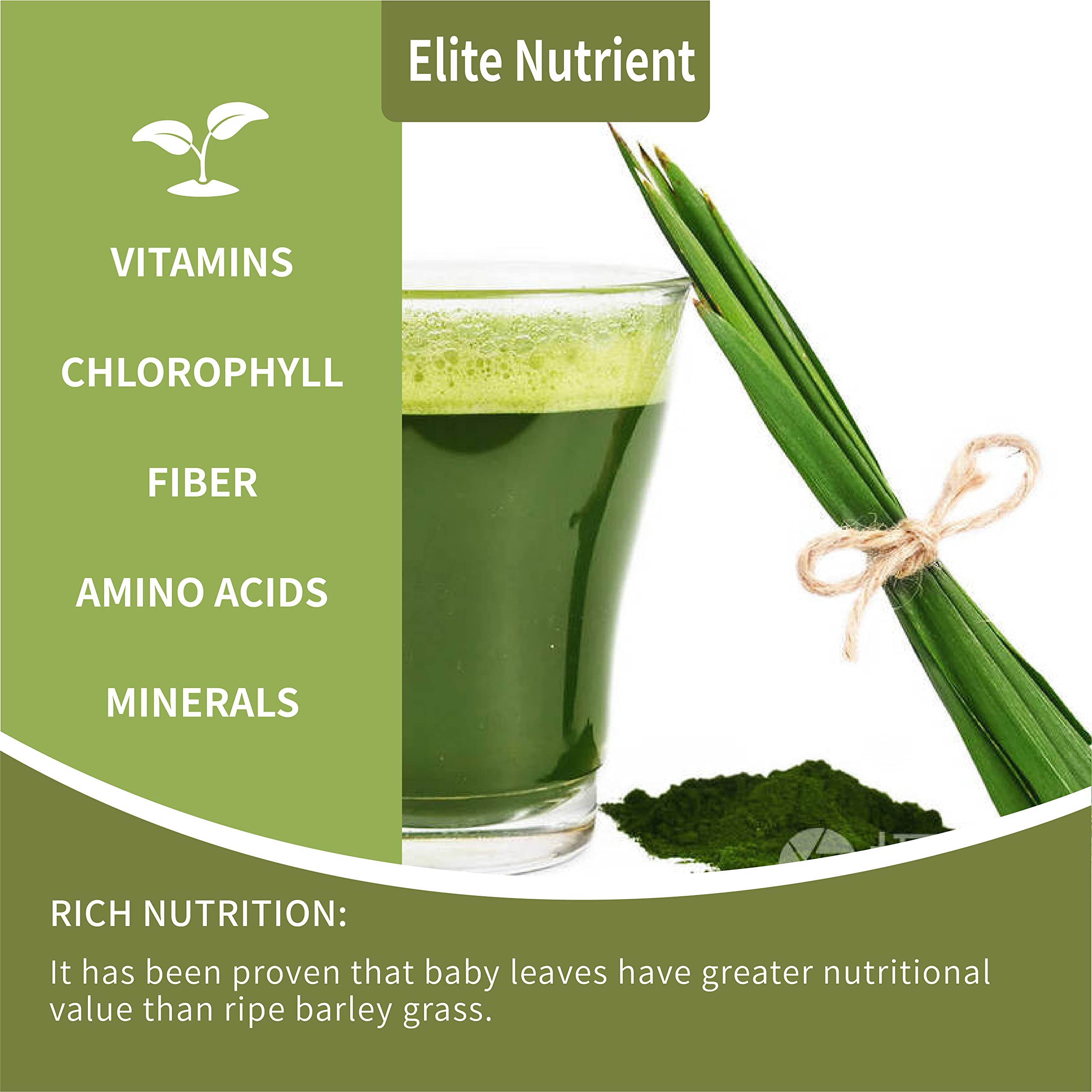 chlorophyll powder for vibrant skin