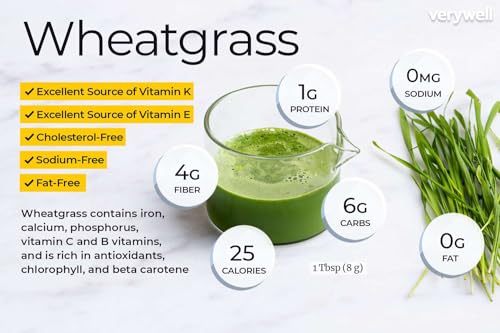 chlorophyll-rich superfood for wellness