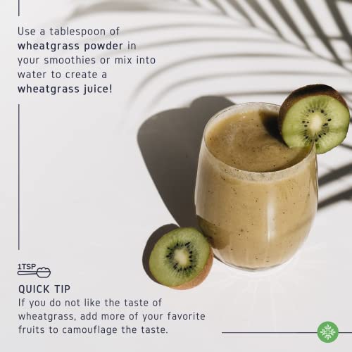 chlorophyll-rich supergreen powder