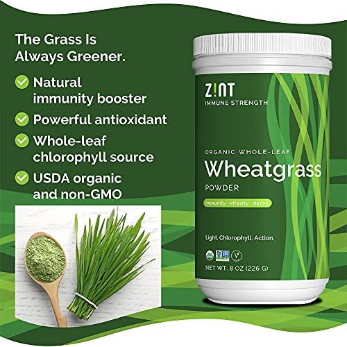 Chlorophyll-rich supplement for vitality