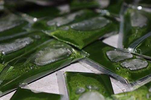 chlorophyll shots for detox support