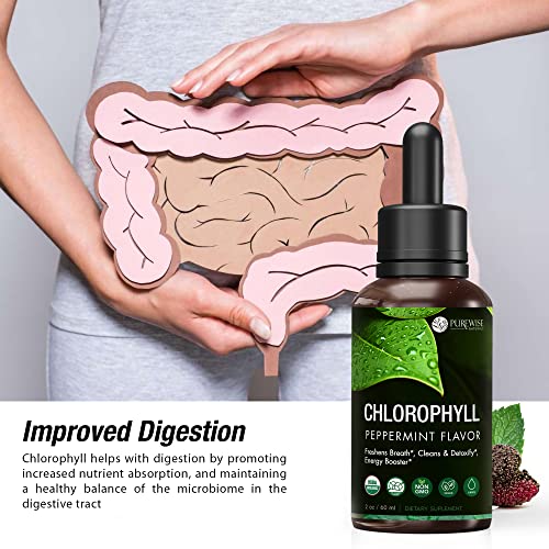 chlorophyll supplement for detox cleanse