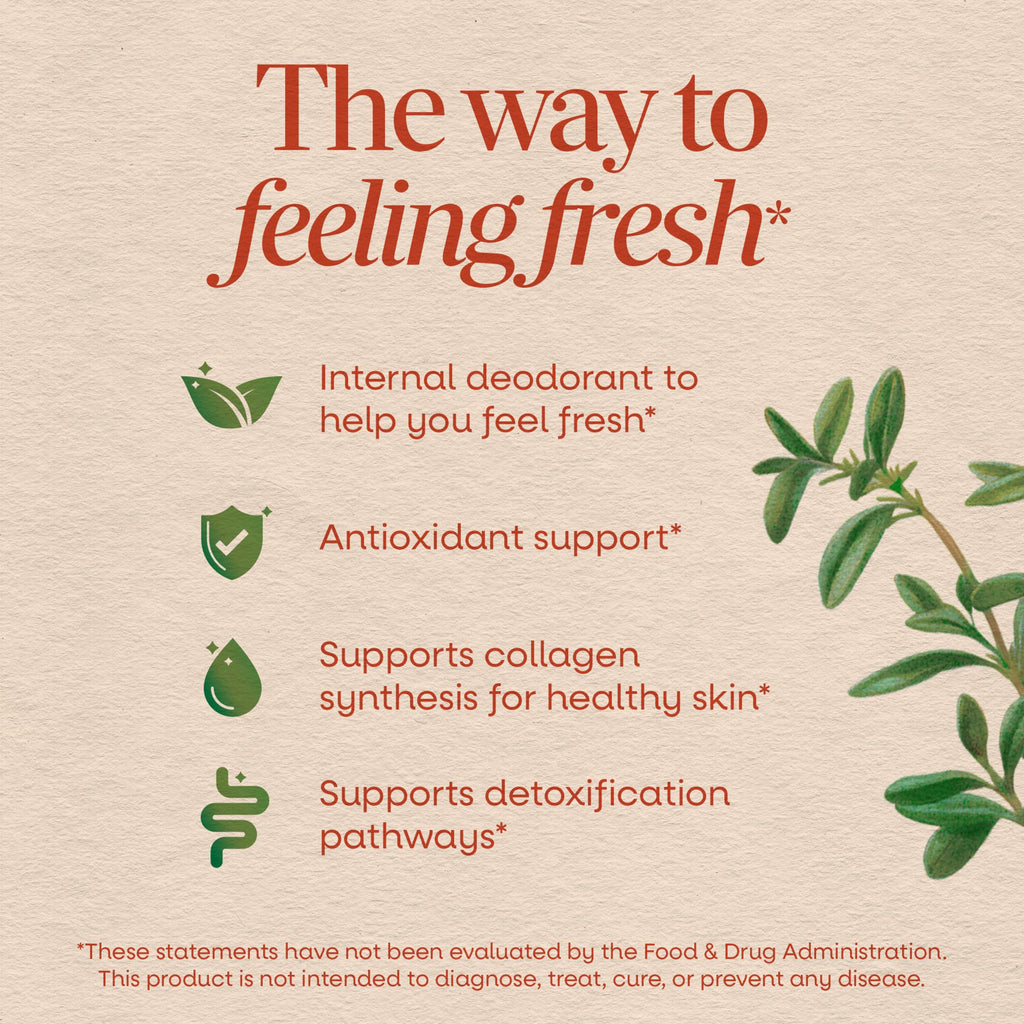 chlorophyll supplement for digestive support