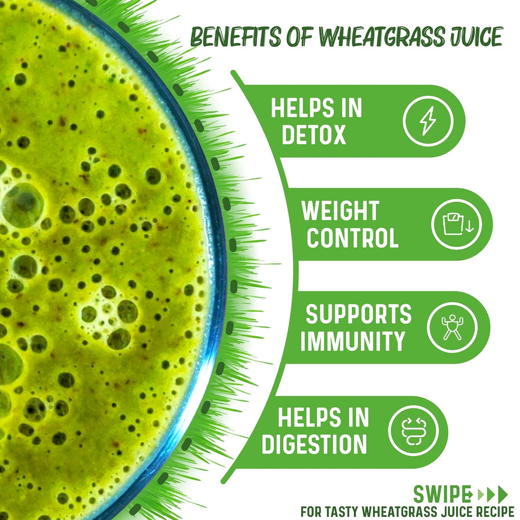 chlorophyll supplement for hydration