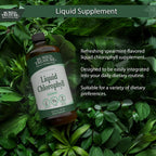 chlorophyll supplement for overall wellness