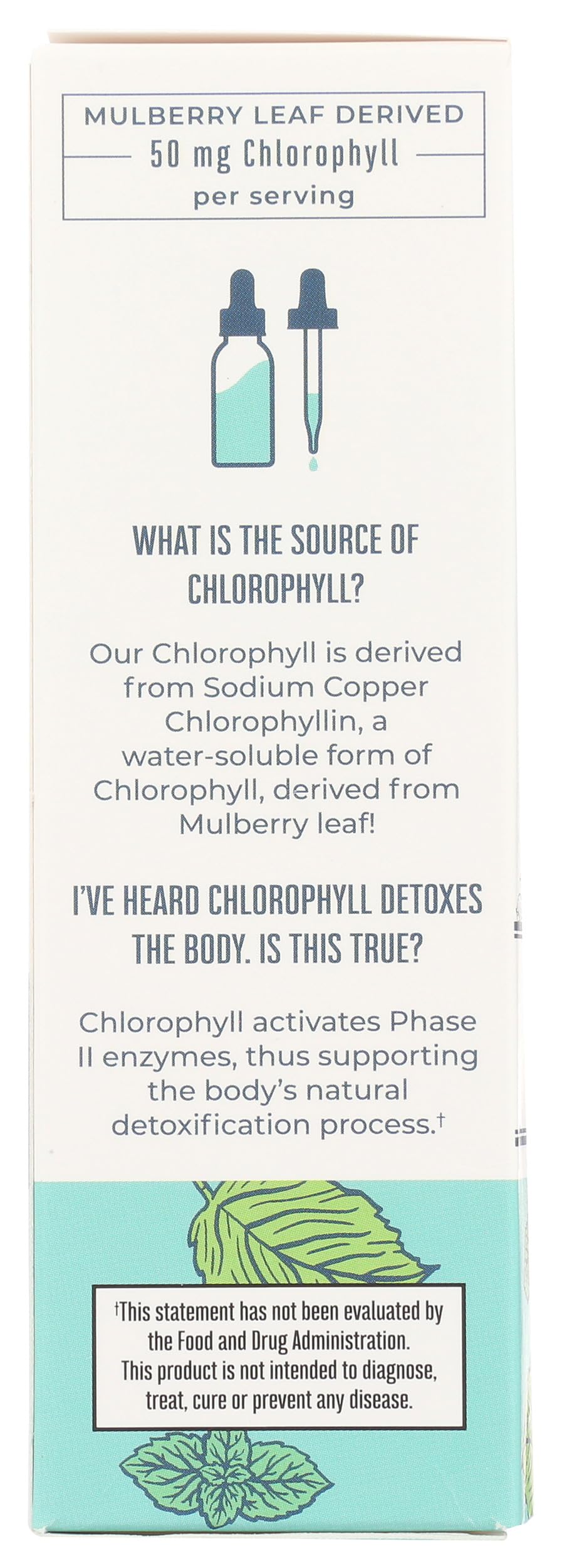 chlorophyll supplement for skin wellness