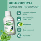 Chlorophyll Wild Alfalfa for digestion
