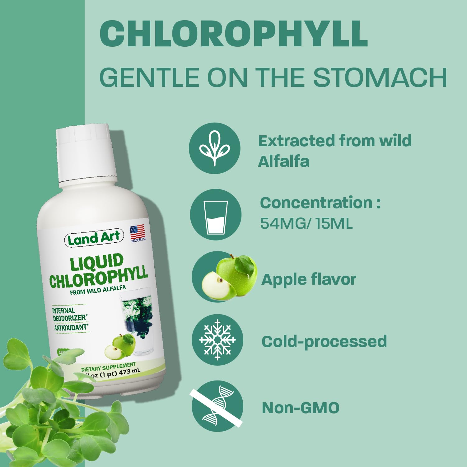 Chlorophyll Wild Alfalfa for digestion