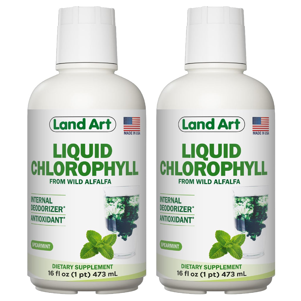 Chlorophyll wild alfalfa mint drink