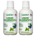 Chlorophyll wild alfalfa mint drink