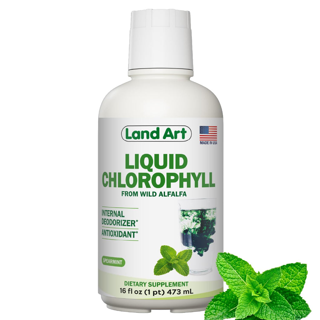 Chlorophyll Wild Alfalfa Mint liquid supplement