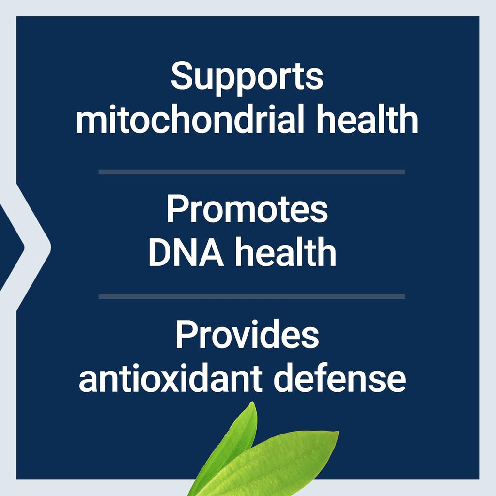 chlorophyllin capsules for energy boost