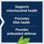 chlorophyllin capsules for energy boost