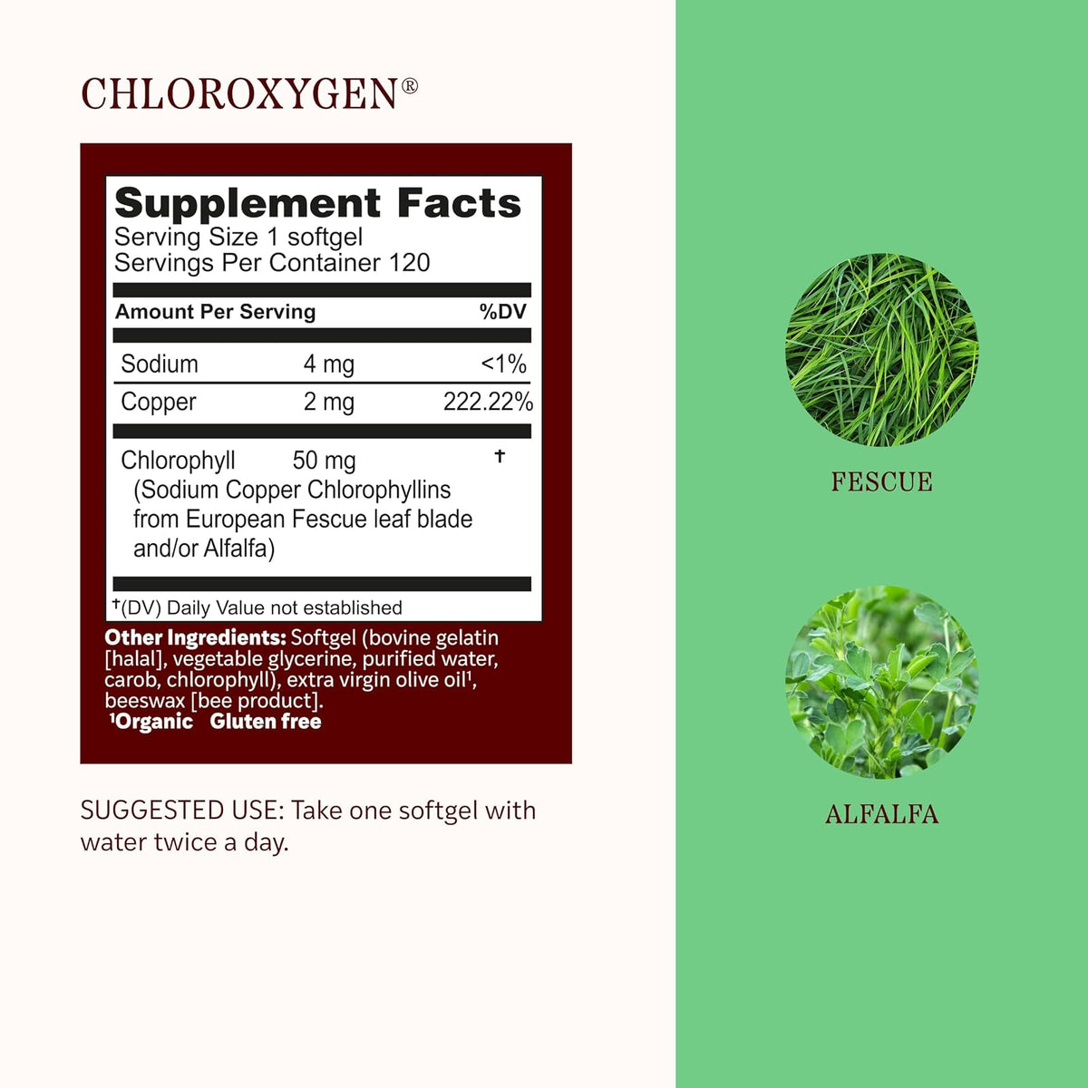 ChlorOxygen softgels for vibrant skin
