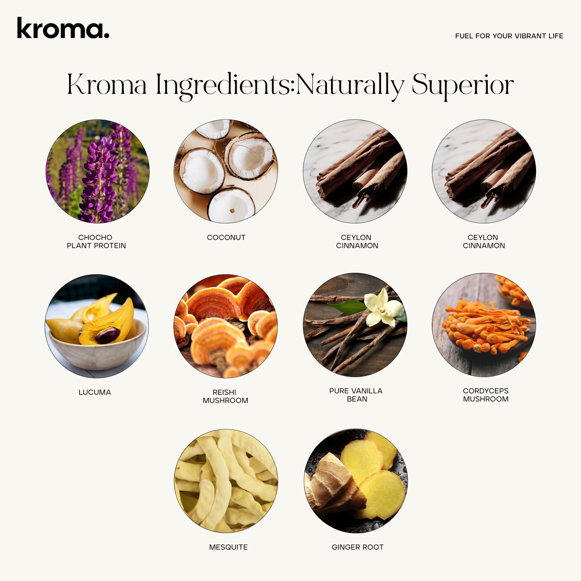 chocho protein source for smoothies