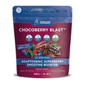 ChocoBerry Blast smoothie for energy