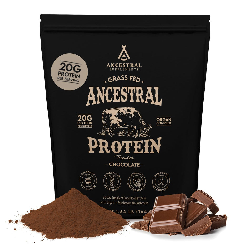 chocolate bone broth protein powder