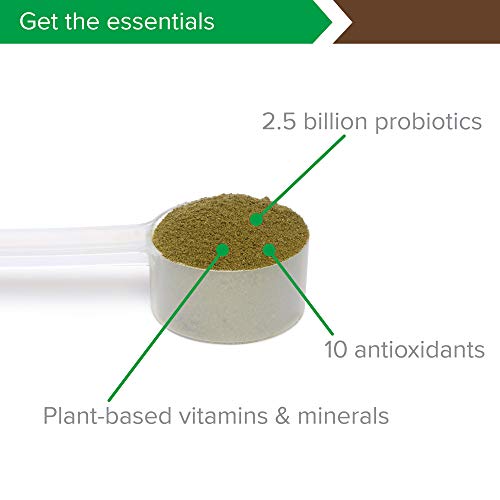 chocolate coconut flavour health supplement