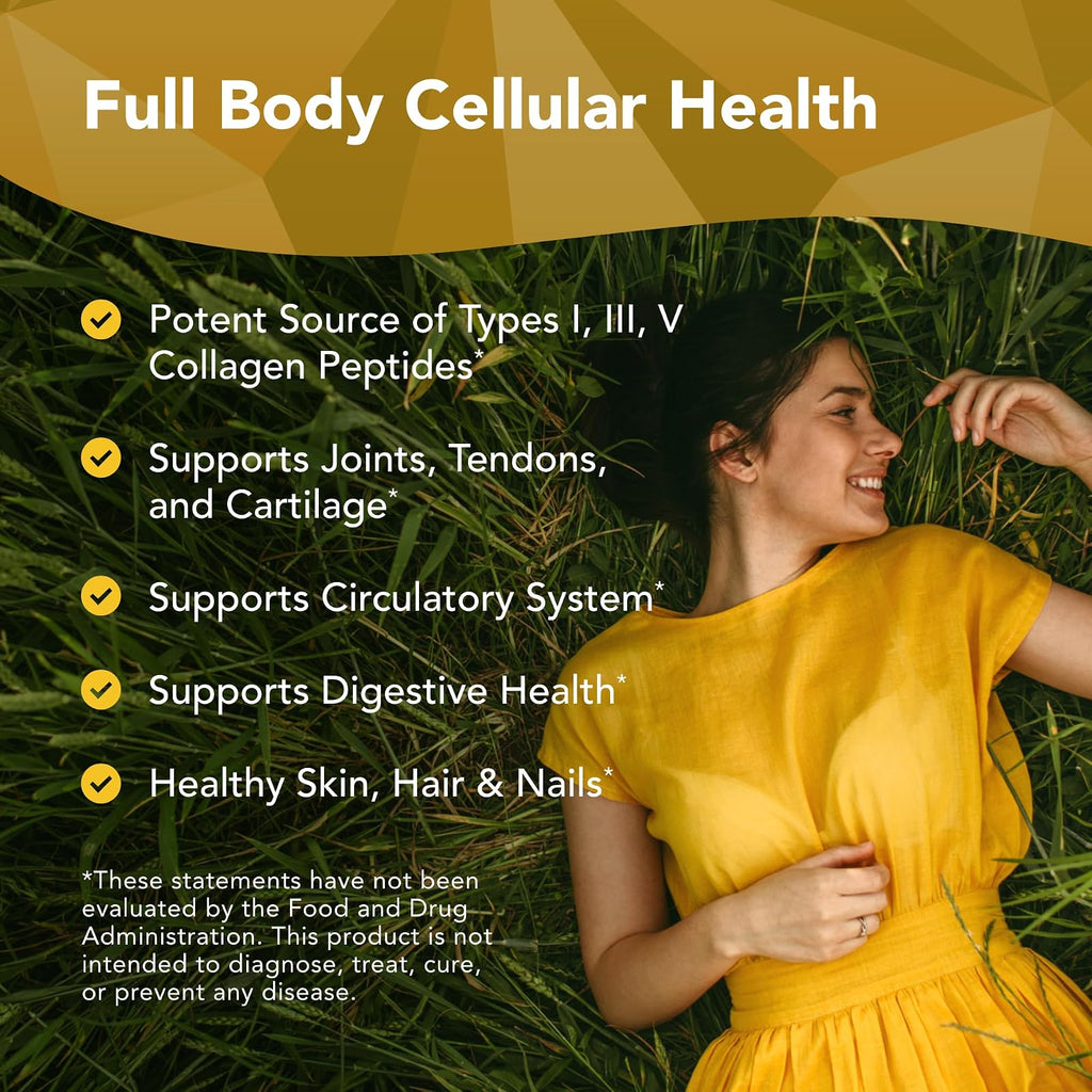 Chocolate cream collagen supplement