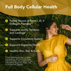 Chocolate cream collagen supplement