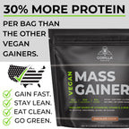 chocolate flavour mass gainer