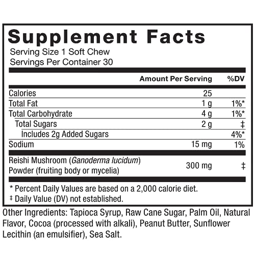 Chocolate flavour mushroom health supplement