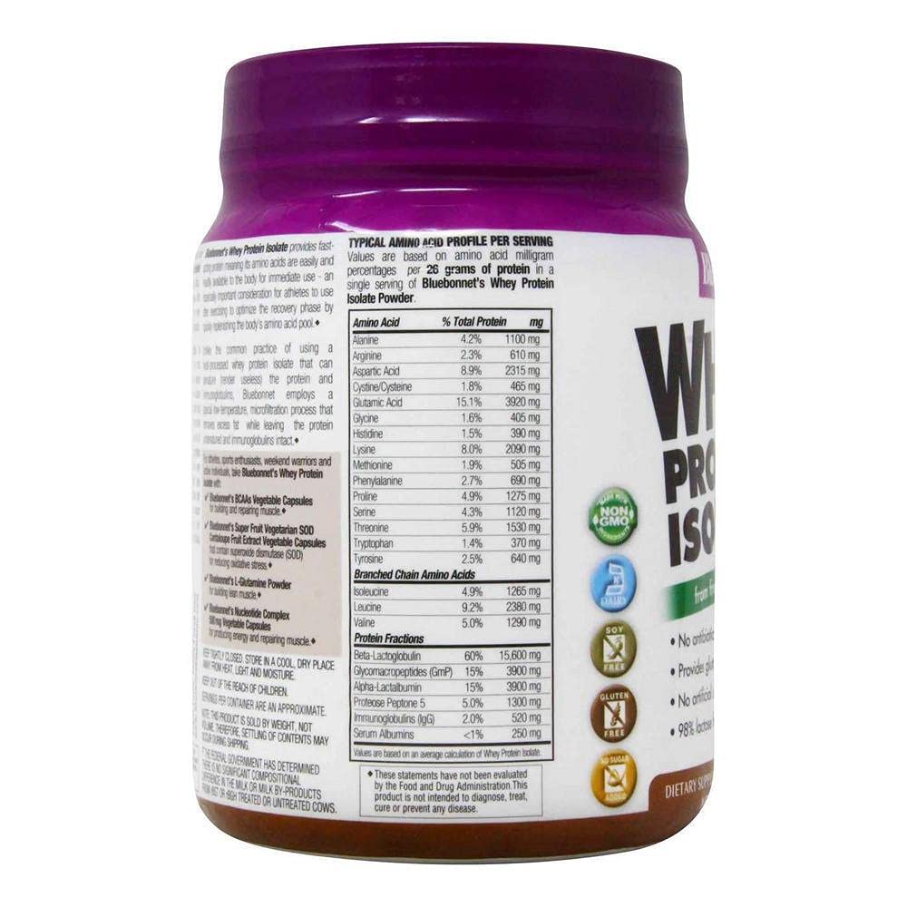 chocolate flavour whey protein powder