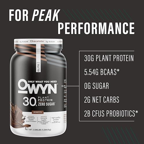chocolate flavoured protein powder for smoothies