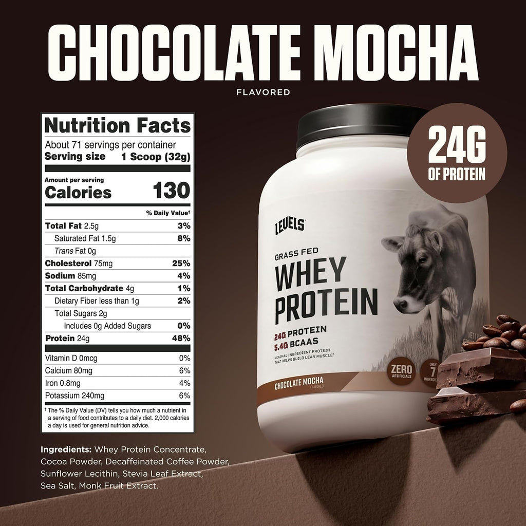 chocolate mocha protein supplement