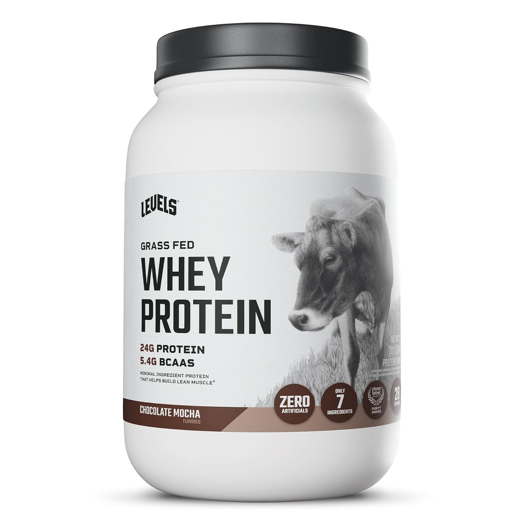 chocolate mocha whey protein powder