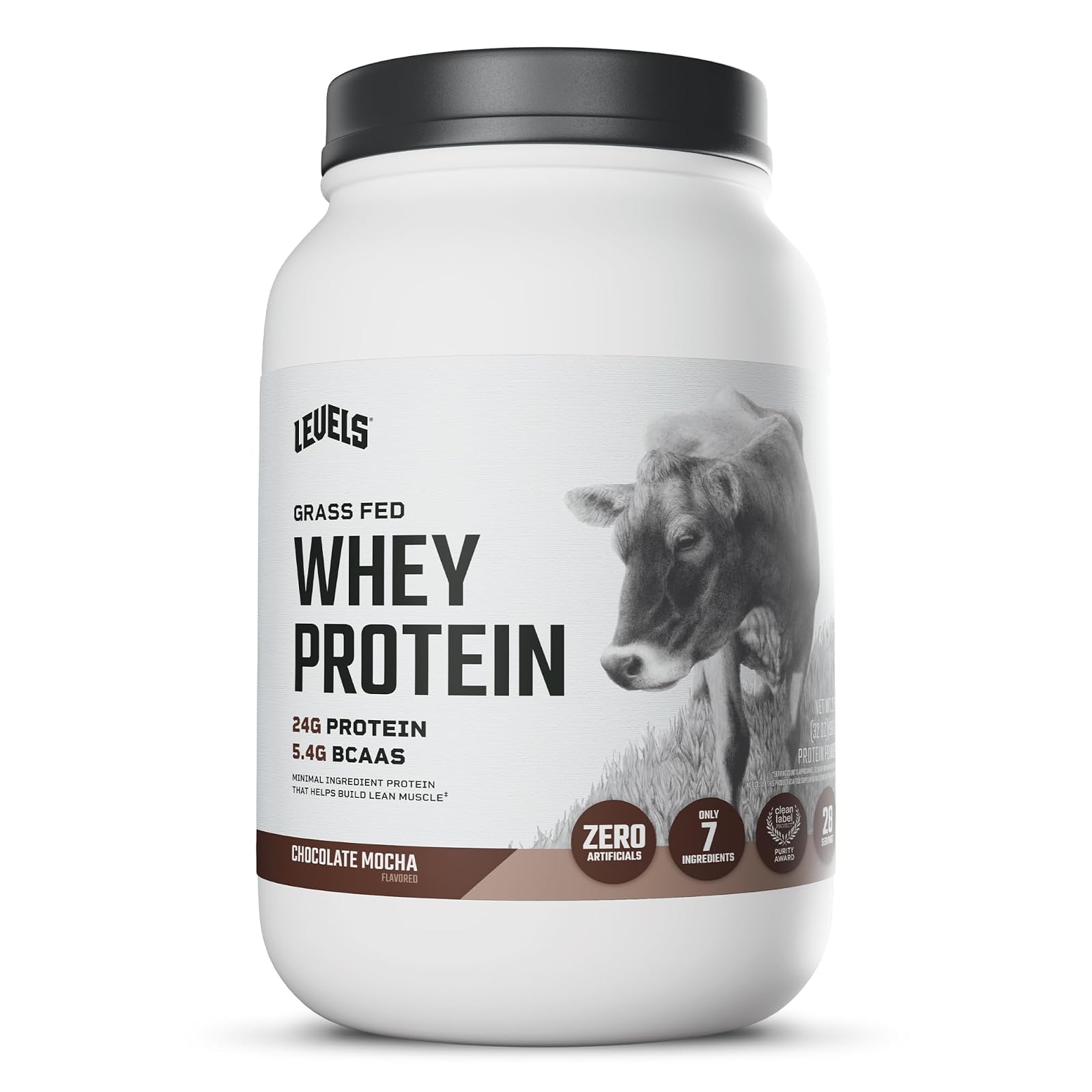 chocolate mocha whey protein powder