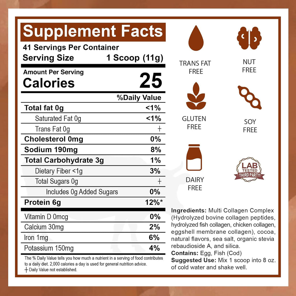 chocolate multi collagen powder benefits