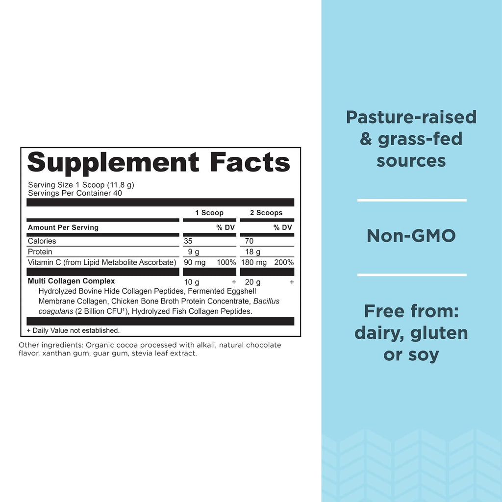 chocolate multi collagen protein benefits